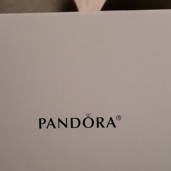 Pandora | Bags | Nwt Pandora Ivory White Envelope Clutch Bag Never Been ...